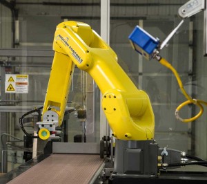Robotic Case Packers